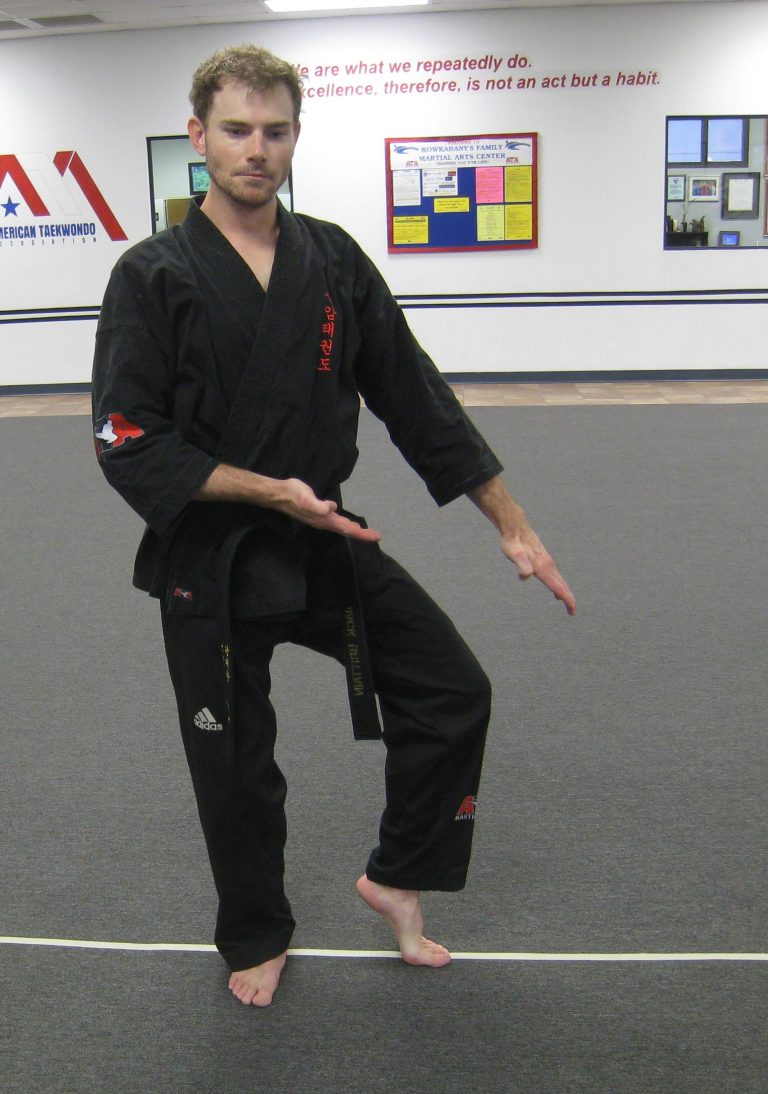 Practicing Traditional Stances - Kowkabany's Family Martial Arts