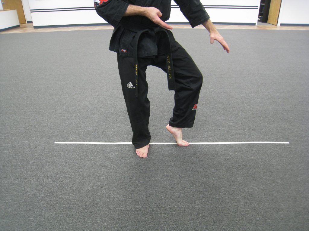 Practicing Traditional Stances - Kowkabany's Family Martial Arts
